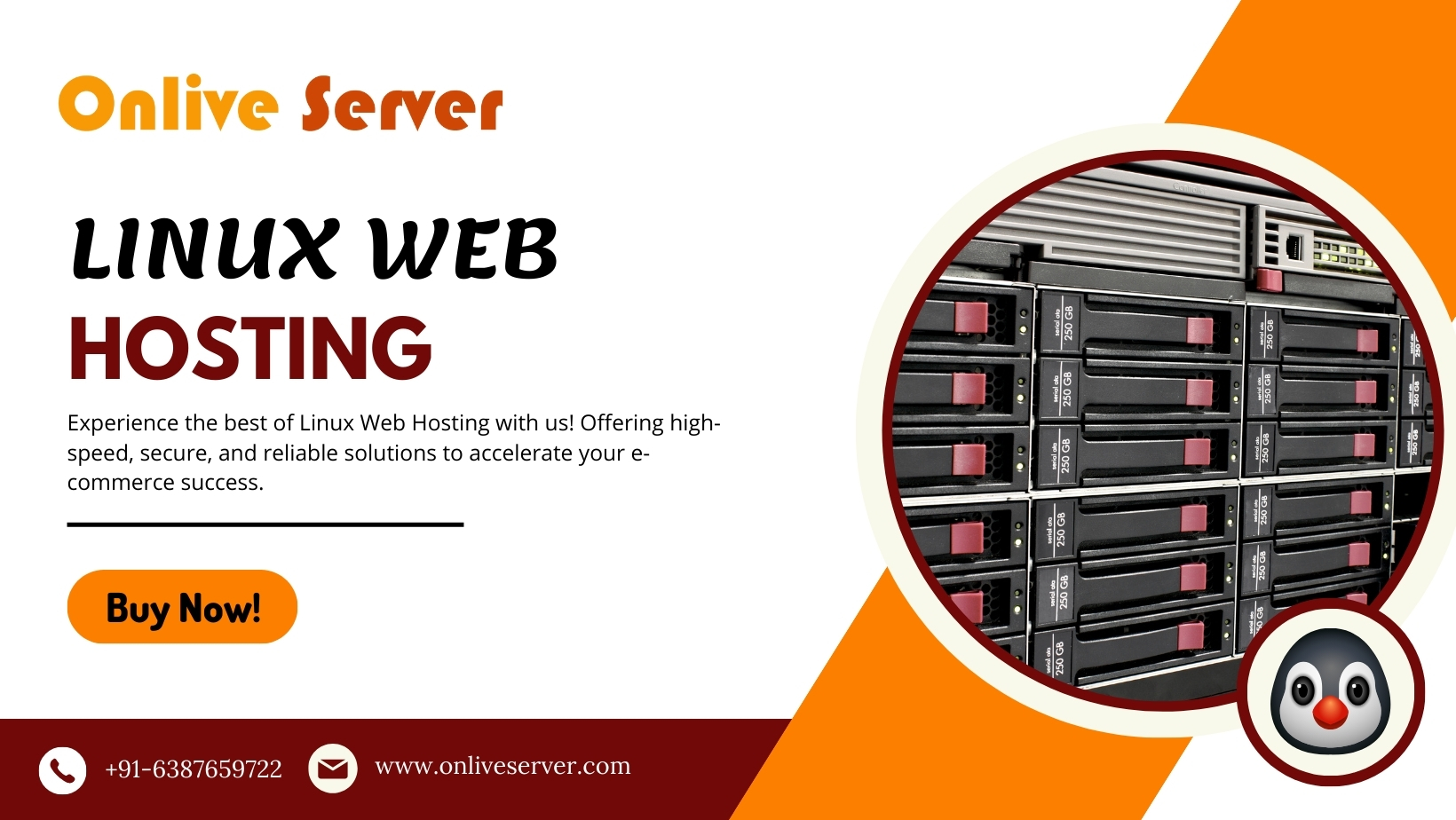 Reliable Linux Web Hosting Solutions for Your Business